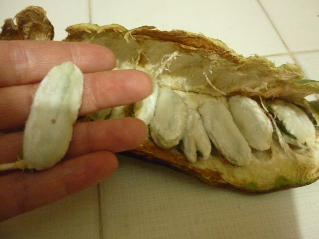 commuNICA: Fruits of the day: guava and guaba