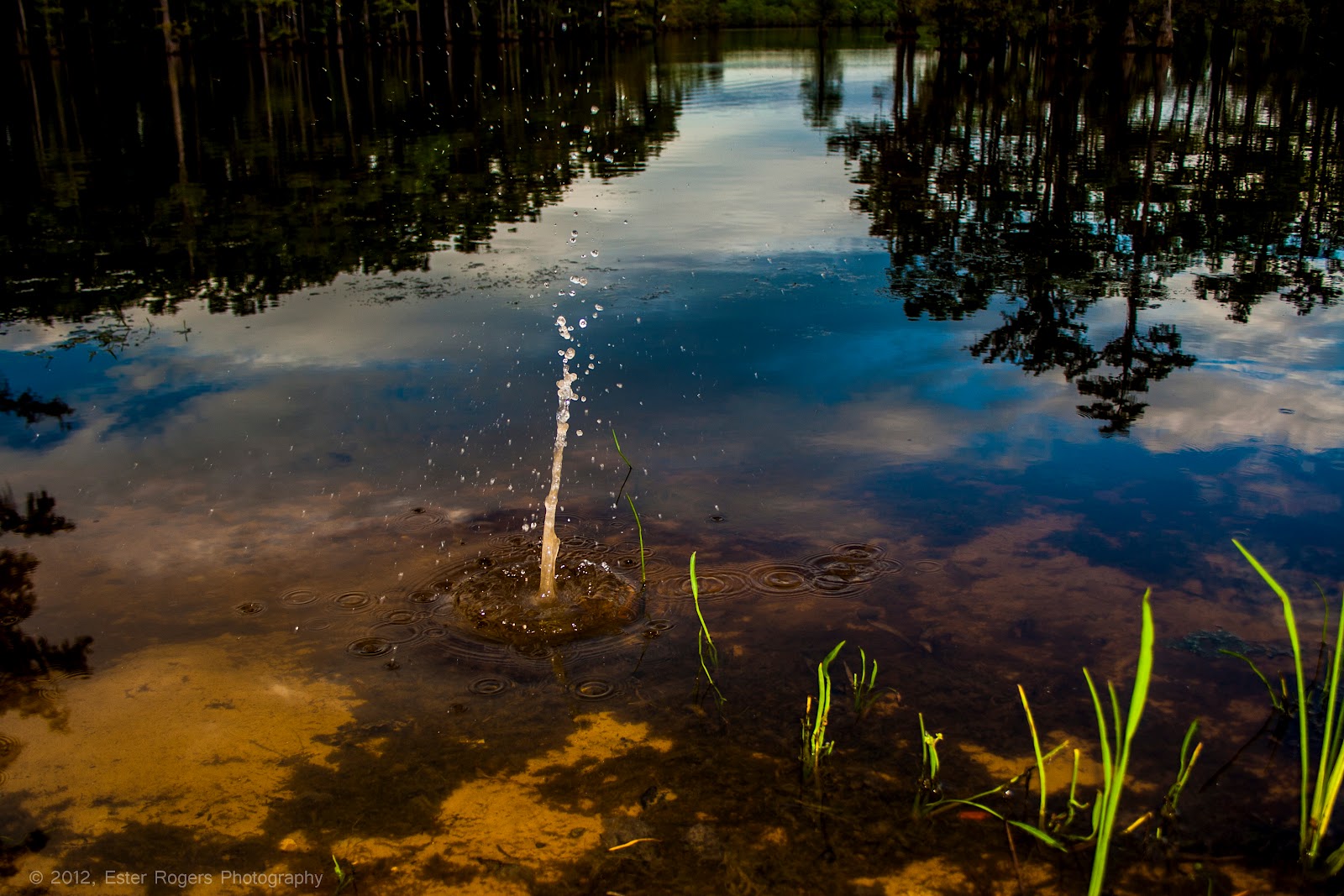 Ester Rogers Photography: Water Splash On The Lake