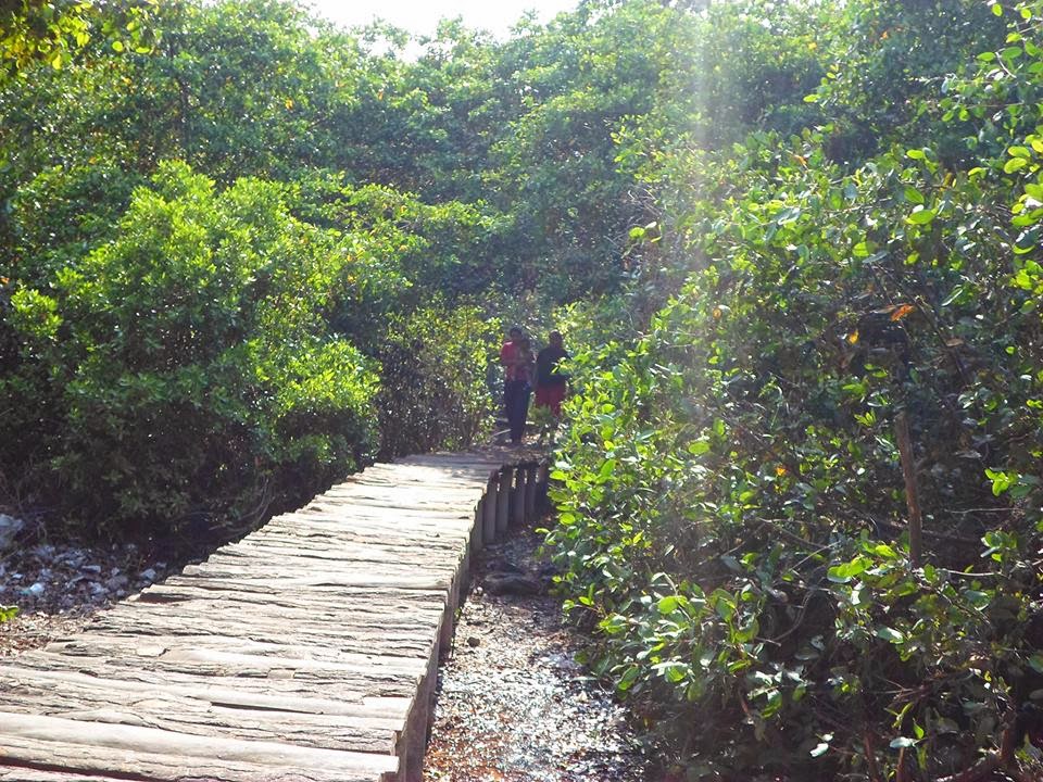 Lenin Cardozo - Entrevistas / Artículos / Videos: Parque Ecoturìstico ...