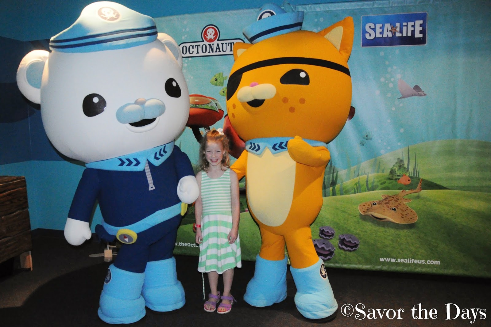 Octonauts Captain Barnacles Poo