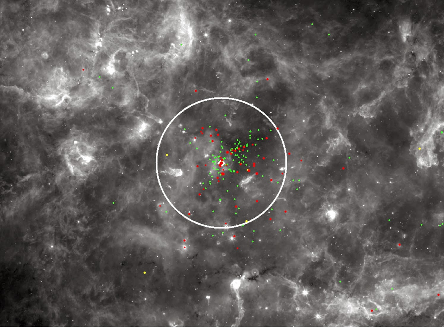 A cluster of thoughts: The massive stars of Cygnus OB2