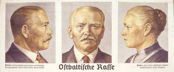 NÁŠ SMĚR: Německá rasová nauka (3.)