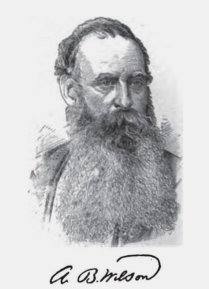 Le Blog de Callisto: Allen B. Wilson (et la firme Wheeler & Wilson)