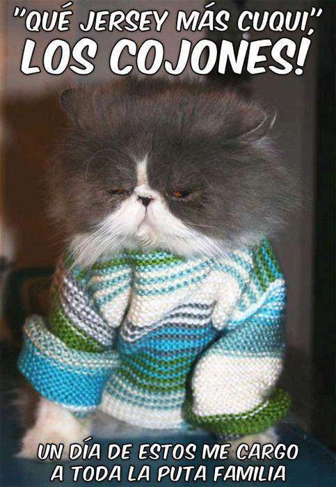 SI ESO TE LLAMO: ¿JERSEY CUQUI?