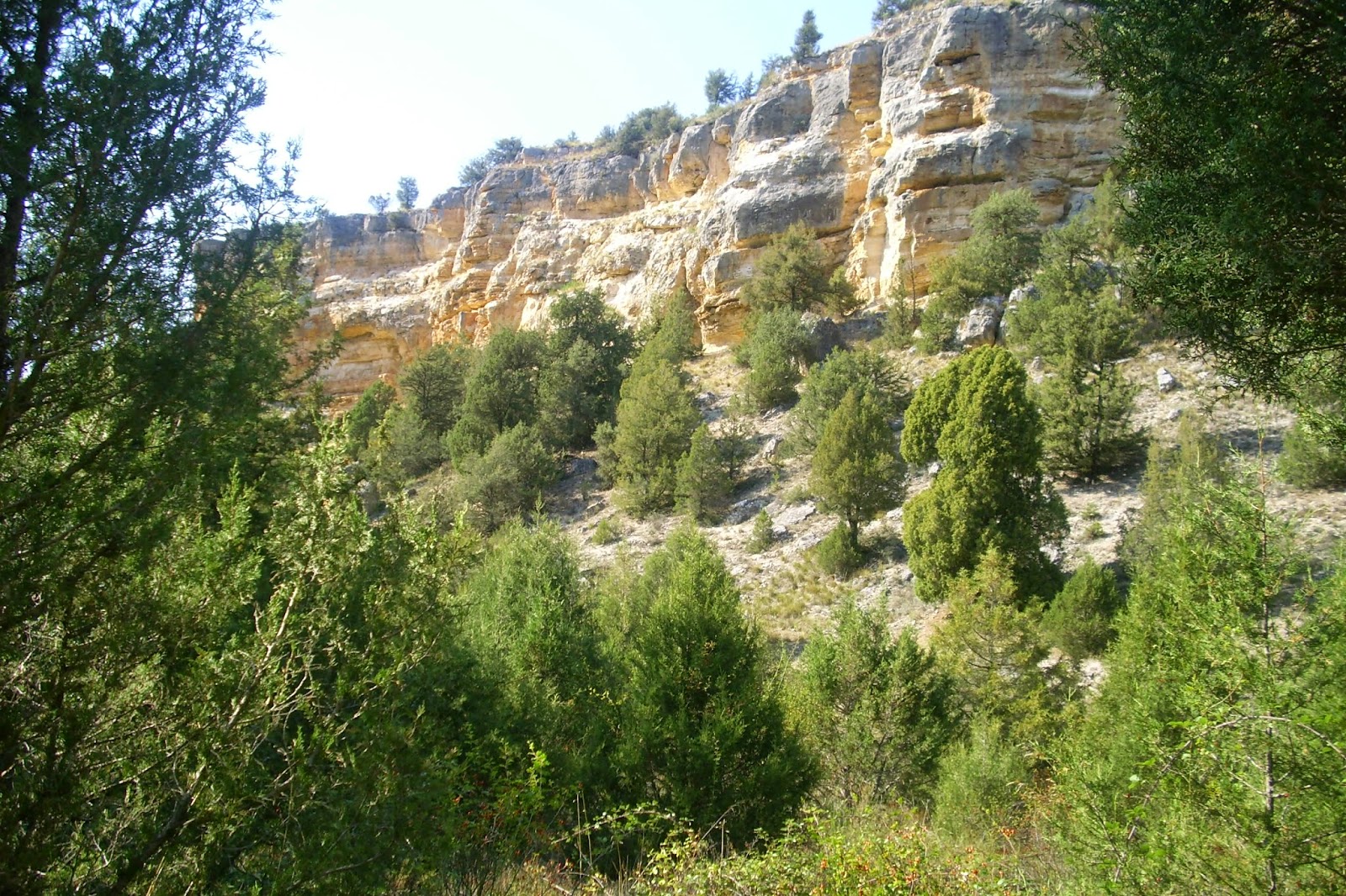 Carrascal del Río: RUTAS NATURALES