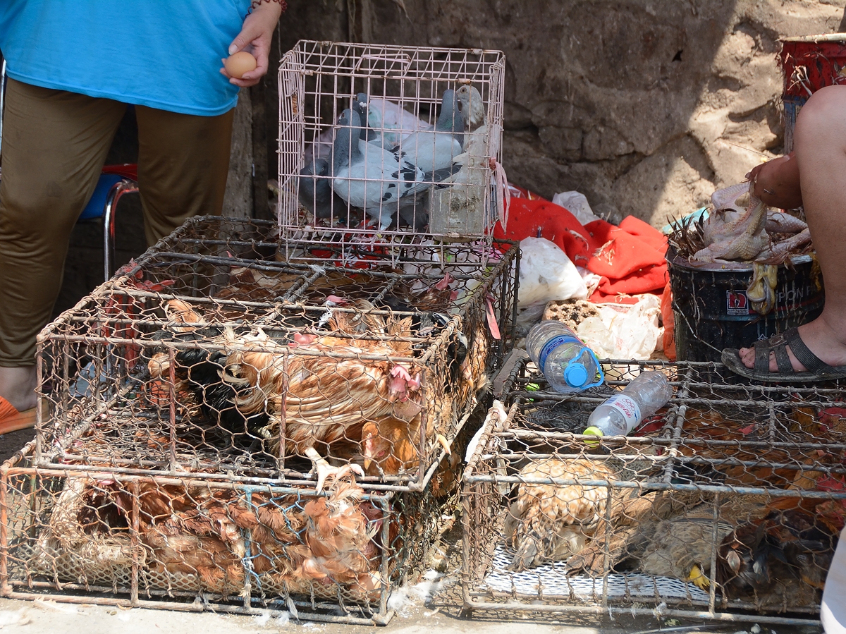 Tom and Margot's Adventures in Photography: Fahaisi Market and Temple