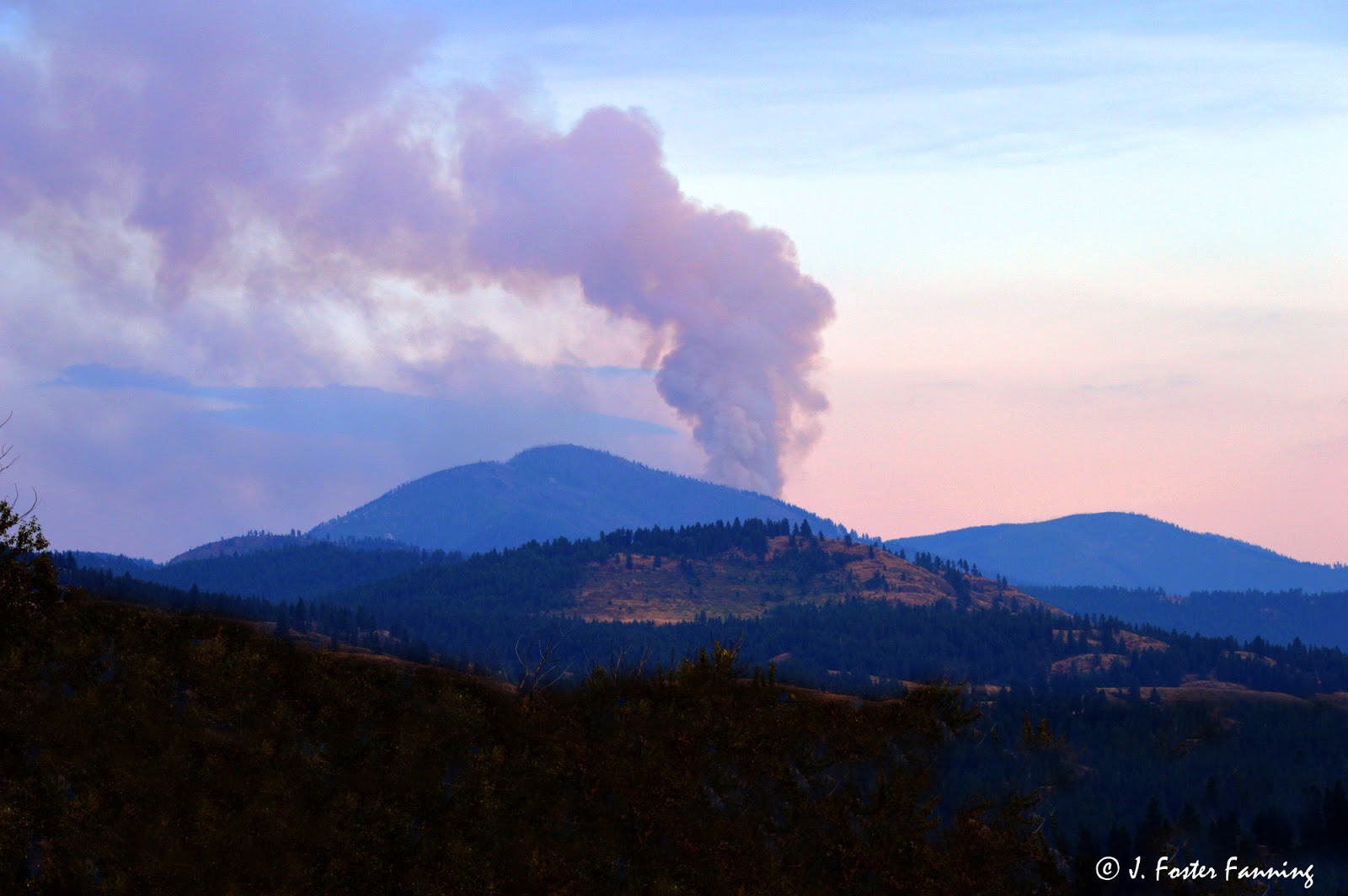 The Okanogan Highlands: Fire Ecology - Okanogan Highlands