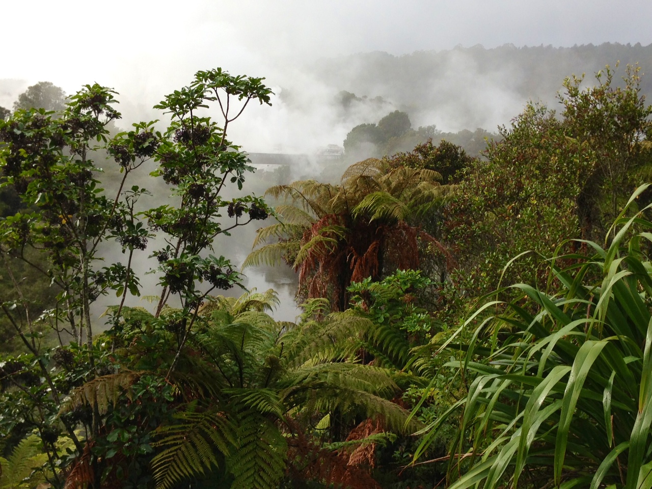 notjustnat creative blog: Colour of New Zealand