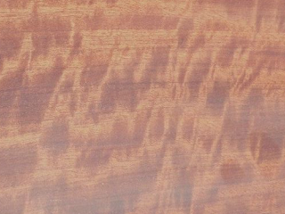 I Note My Life.: 植物雜記 - 樂器木材(Tonewood) - 馬寇瑞木(Makore) - 擁有極致斑紋的異國木材