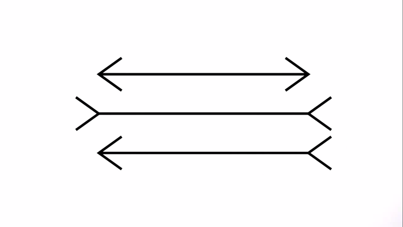 How does our brain function | ScienceOnly