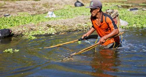 Larutan Elektrolit & Nonelektrolit: Pengerian, Ciri, Jenis dan ...