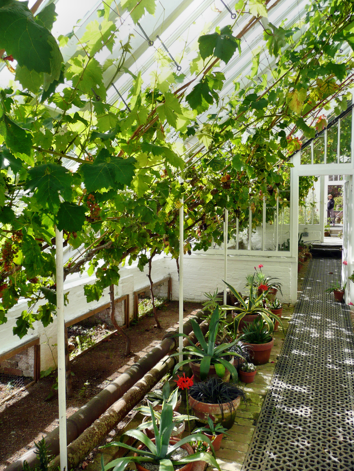 Normandy Life: The Lost Gardens of Heligan - The Productive Gardens.