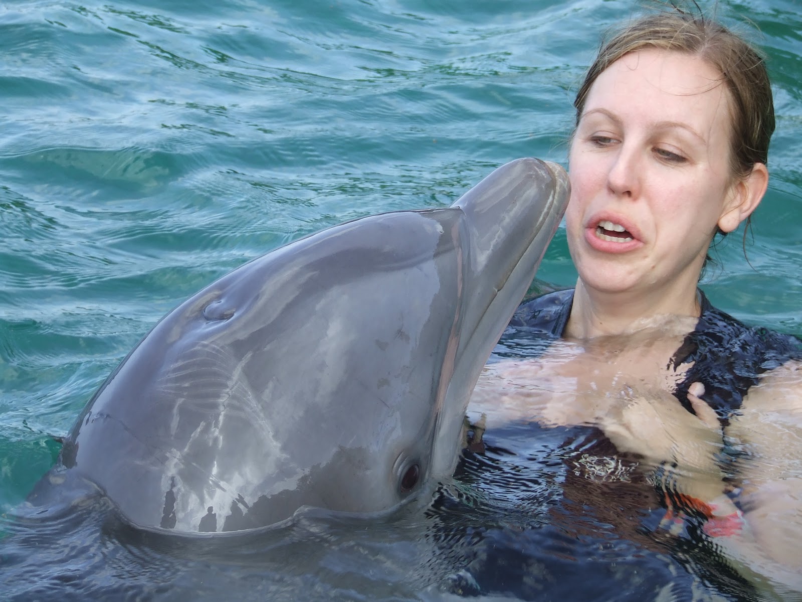Crowning Victoria: (Wedding Recap) Honeymoon Death Defying & Dolphins Crowning Victoria: (Wedding Recap) Honeymoon Death Defying & Dolphins