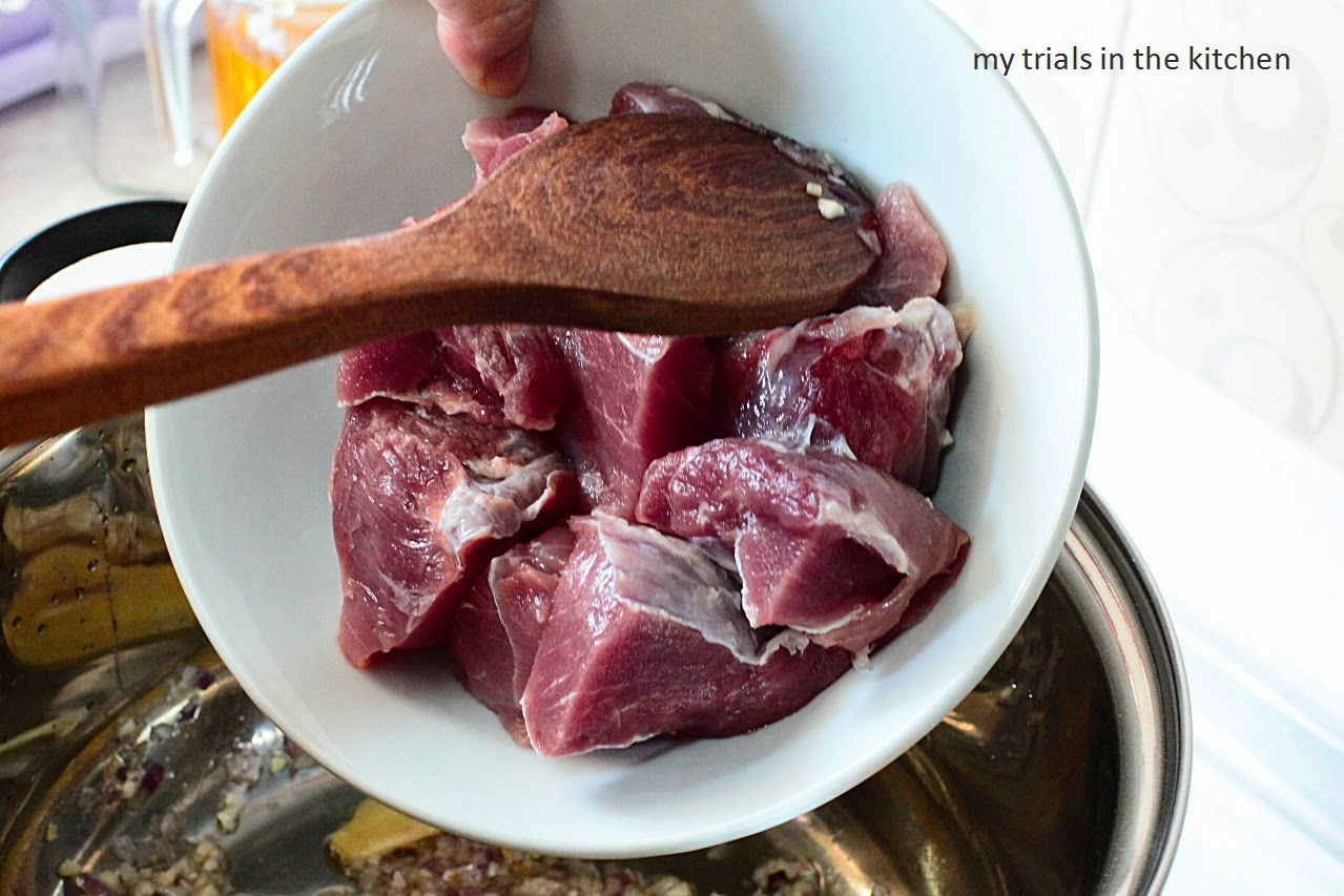 My Trials in the Kitchen: Stewed Pork with Radish and Carrot