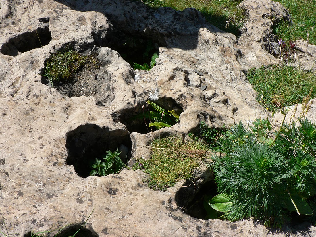 CURIOSIDADES CIENTÍFICAS : Lenares o Lapiaces
