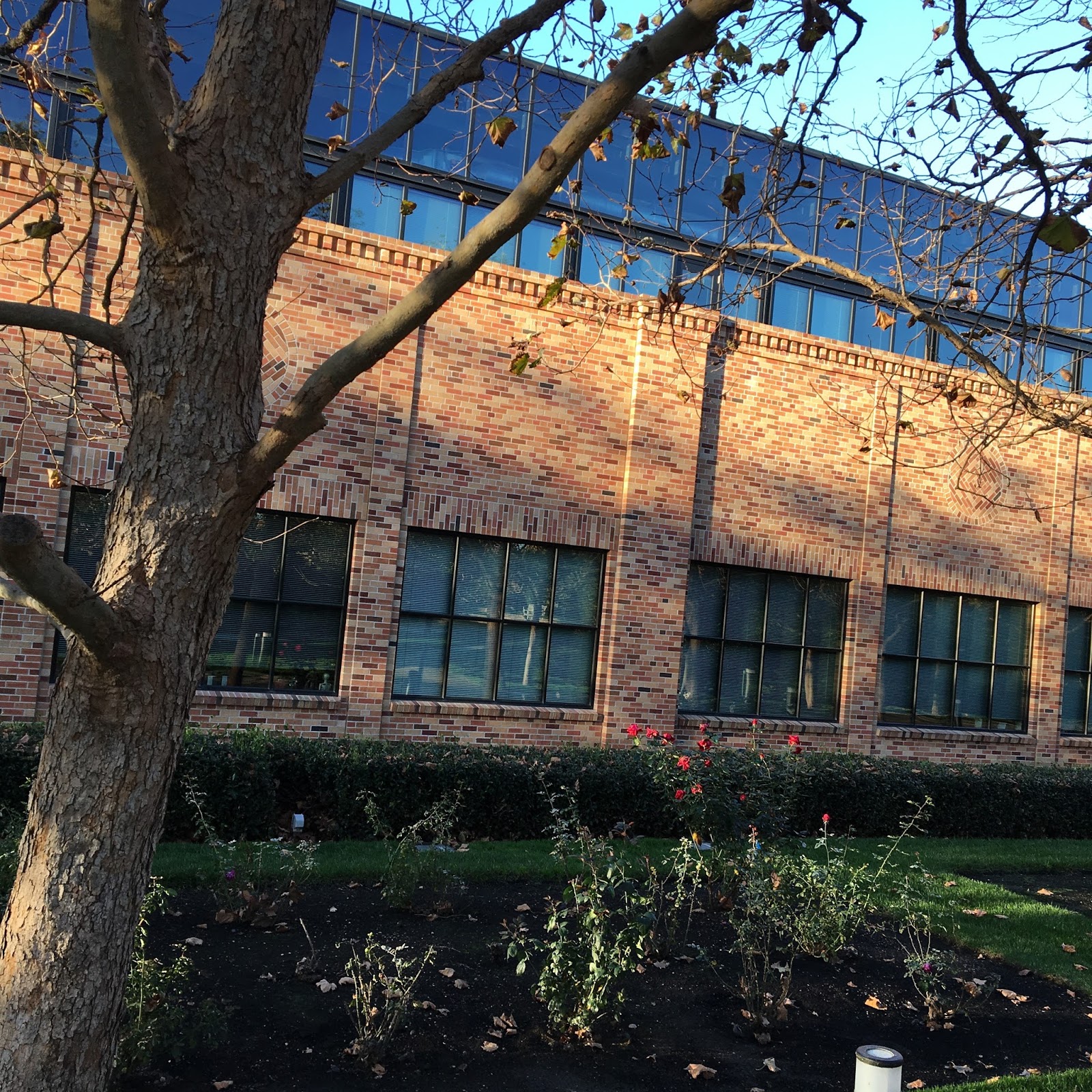 Dan the Pixar Fan: My First Visit to Pixar Animation Studios!