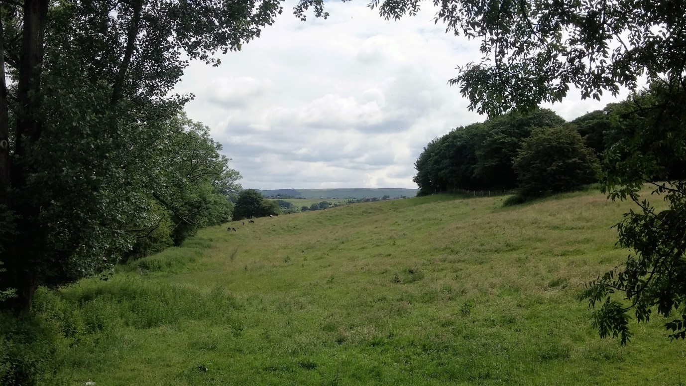 Was there a Medieval Cattle Ranch in Whittle-le-Woods?