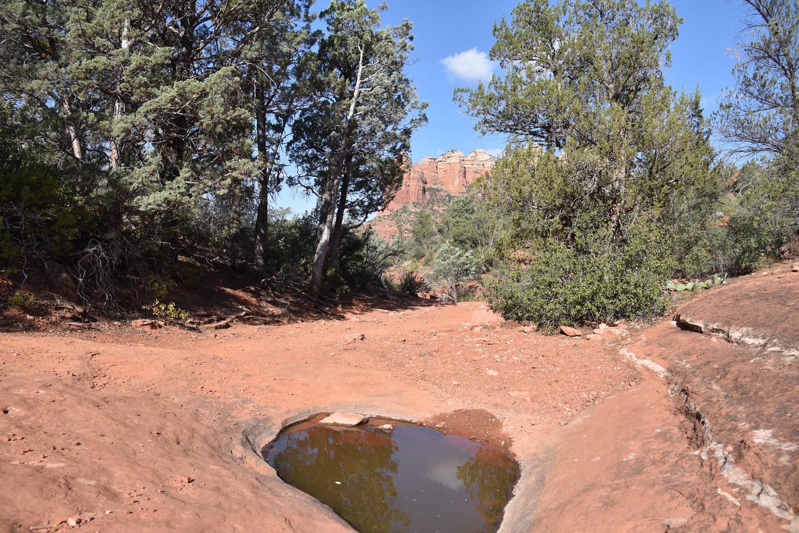 Arizona Hiking: ANT HILL LOOP