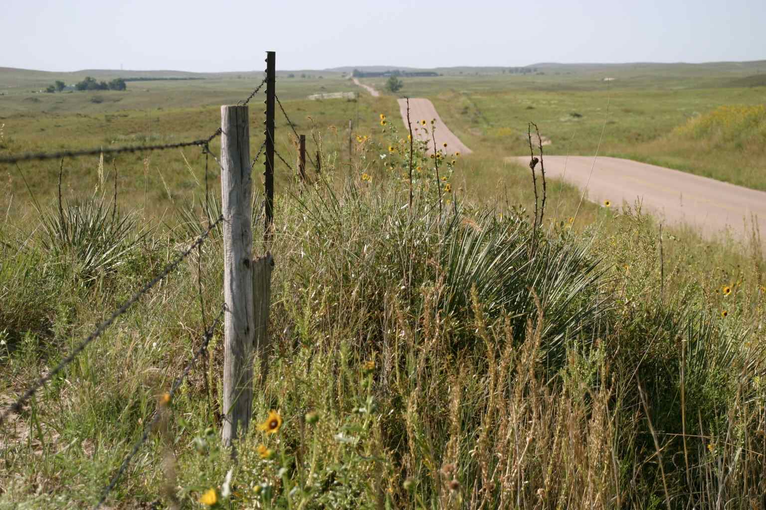 Scenic Sunday: Rural Roads