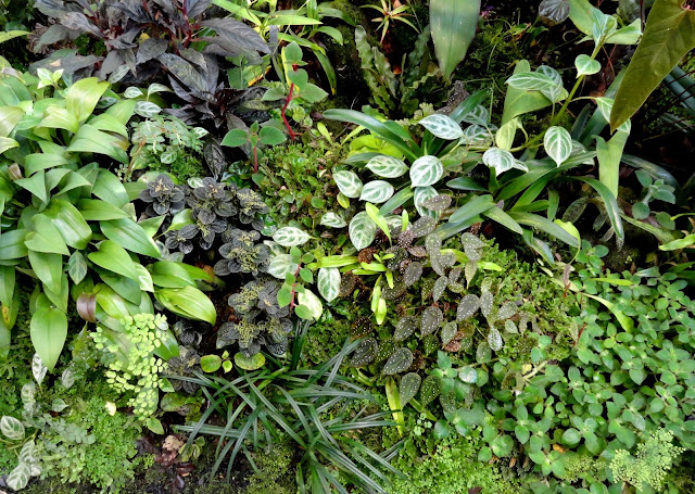 danger garden: Inside the Amazon Spheres Part Two: the rest of the cool ...