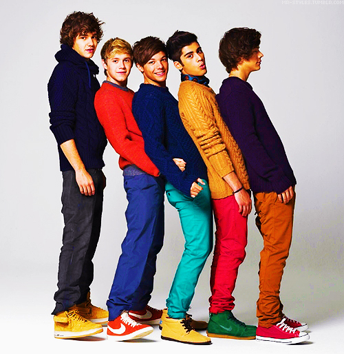 Catherine's blog: Team One Direction