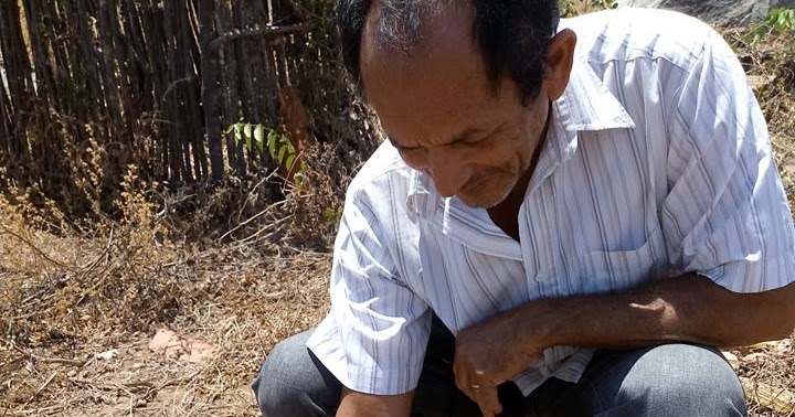 Sobre o trabalho da FEMeA: | Generalidades