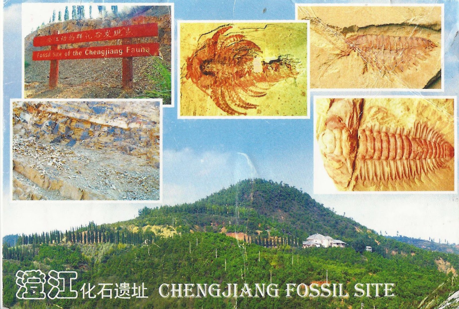 A Journey of Postcards: Chengjiang Fossil Site | China