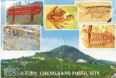 A Journey of Postcards: Chengjiang Fossil Site | China