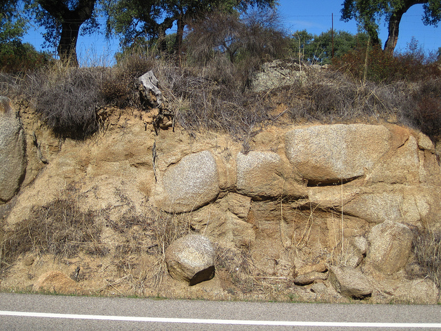 In the Company of Plants and Rocks: Creatures of Stone II -- genesis