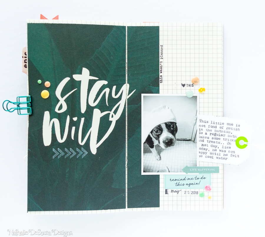 Living an Inspired Life: My Personal Journal - week 21