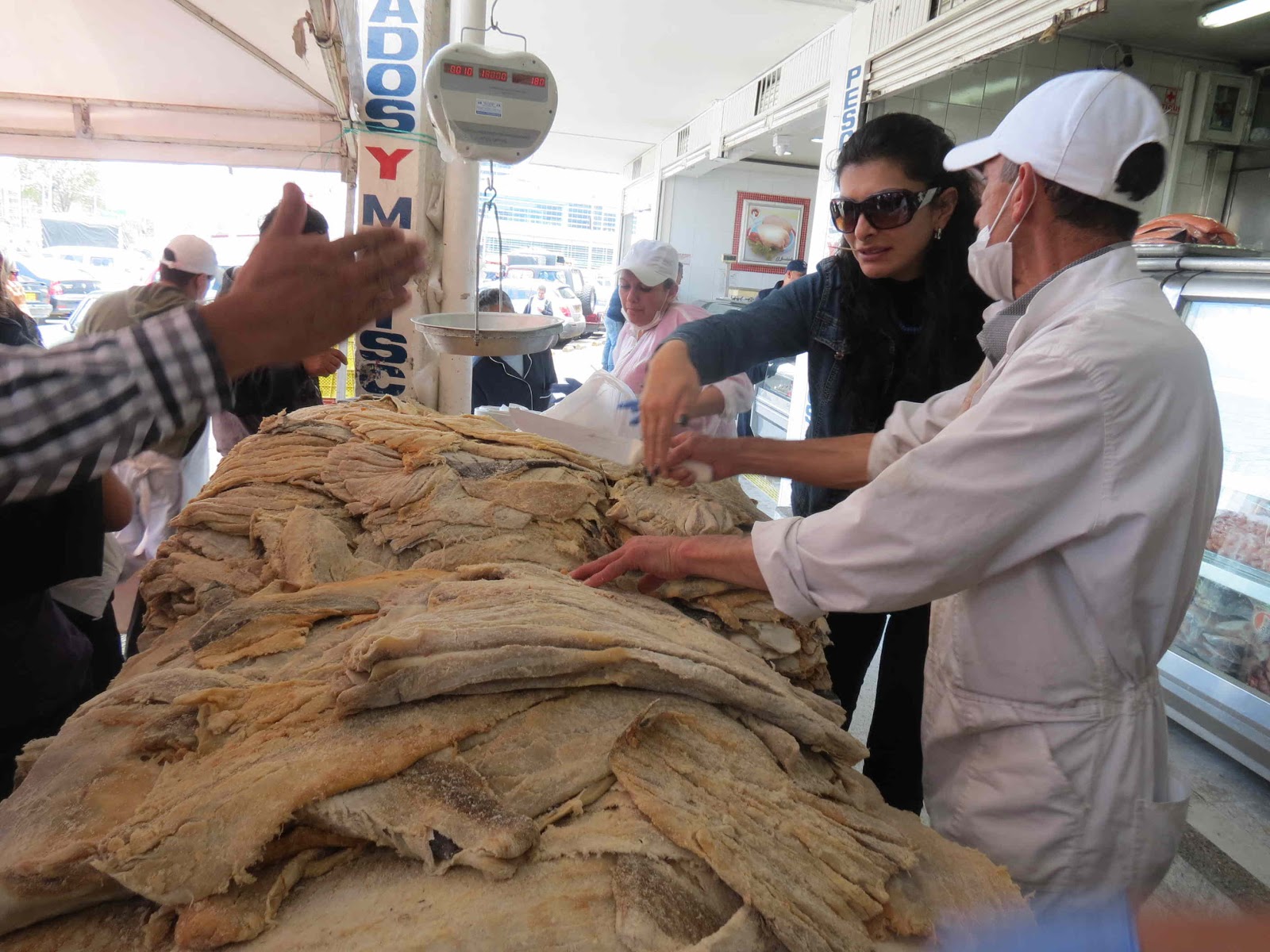 Mike's Bogota Blog: A Big Week for Fish