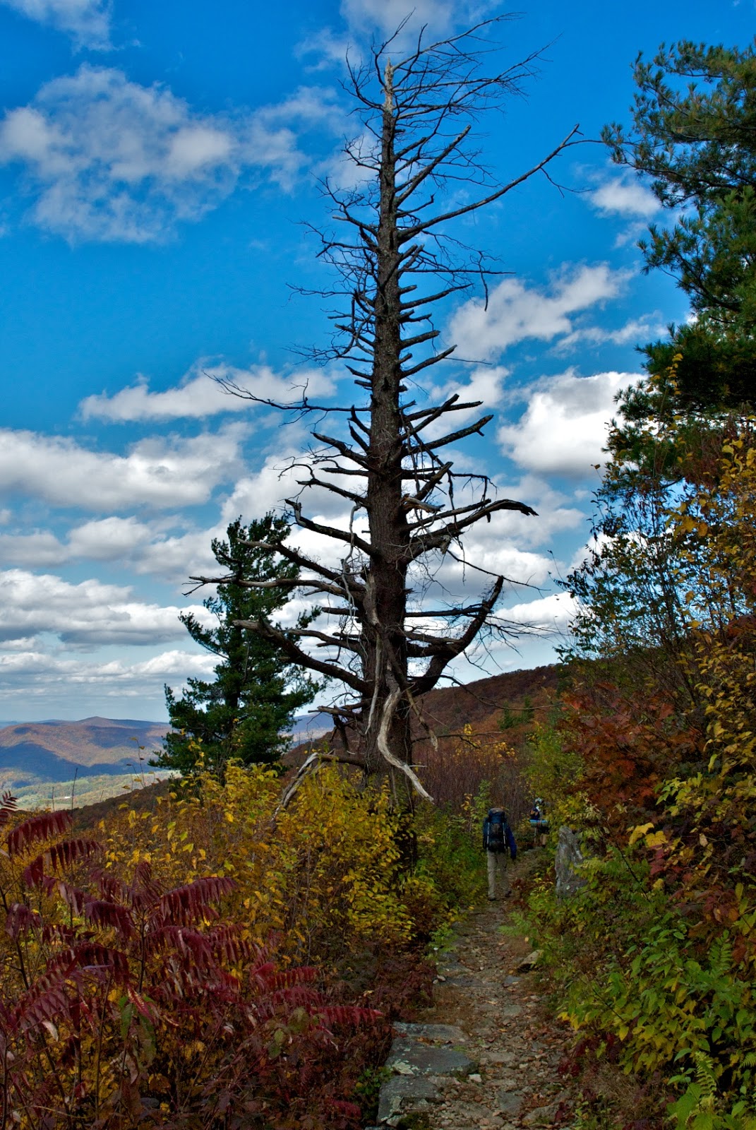 Kevin DuBois Travel and Photography: AT Hike: Rock Spring Hut to ...