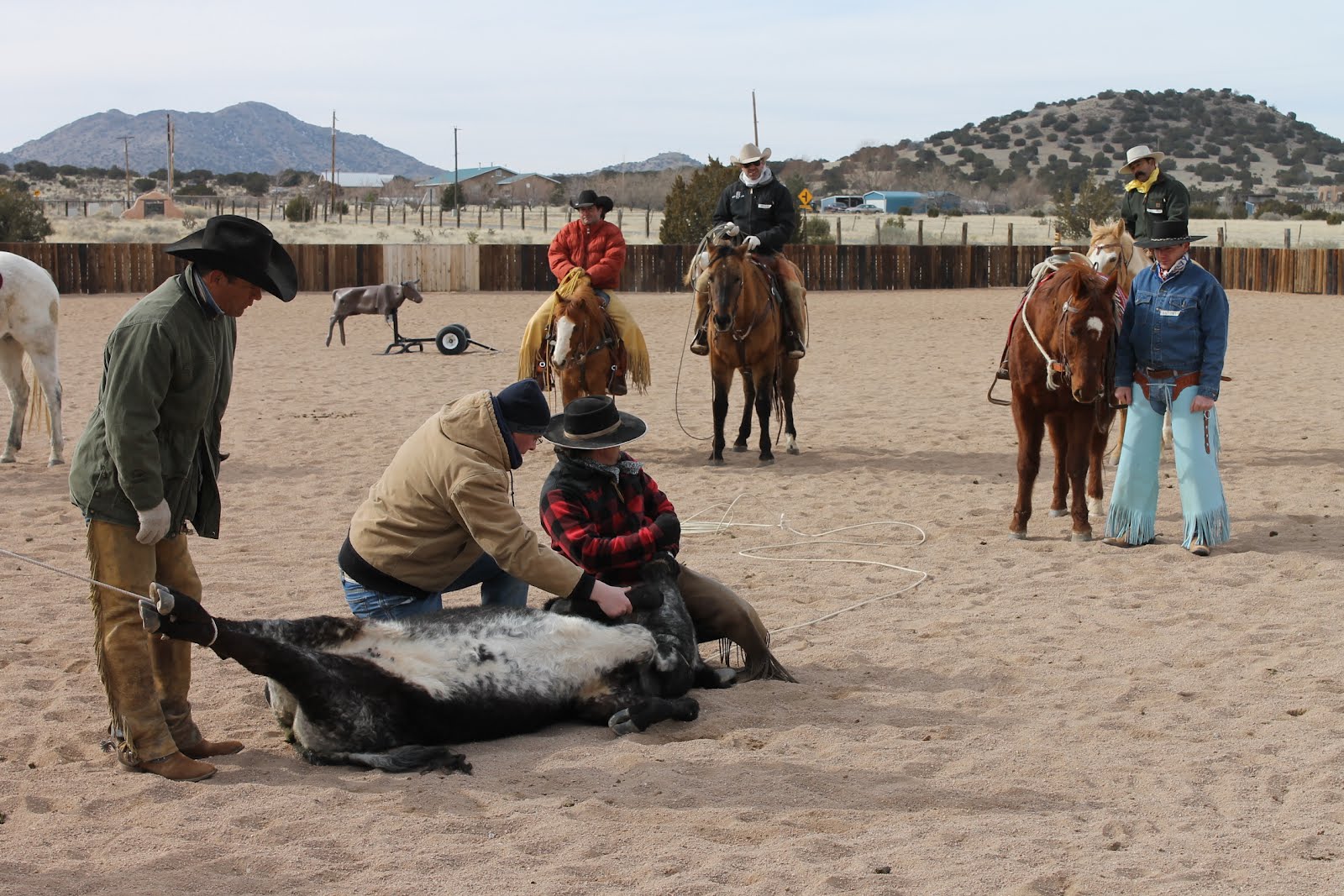 HORSES FOR HEROES New Mexico - Cowboy Up! 505-798-2535: Vaquero ...