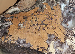 Chemistry: Nickle arsenide structure