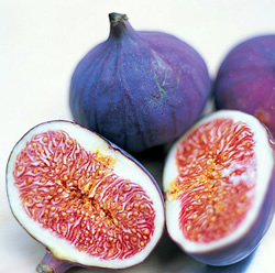 Madre Mia del Amor Hermoso: Higos-Brevas