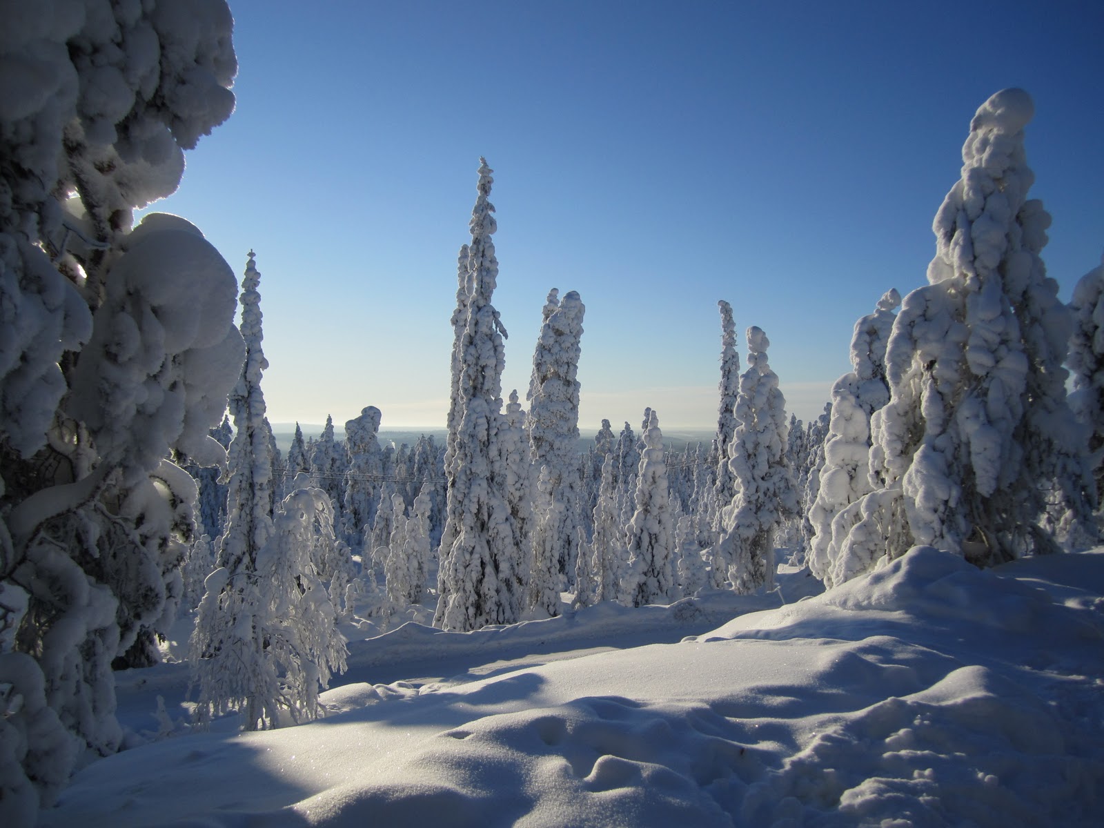 Voyage en Finlande: Laponie