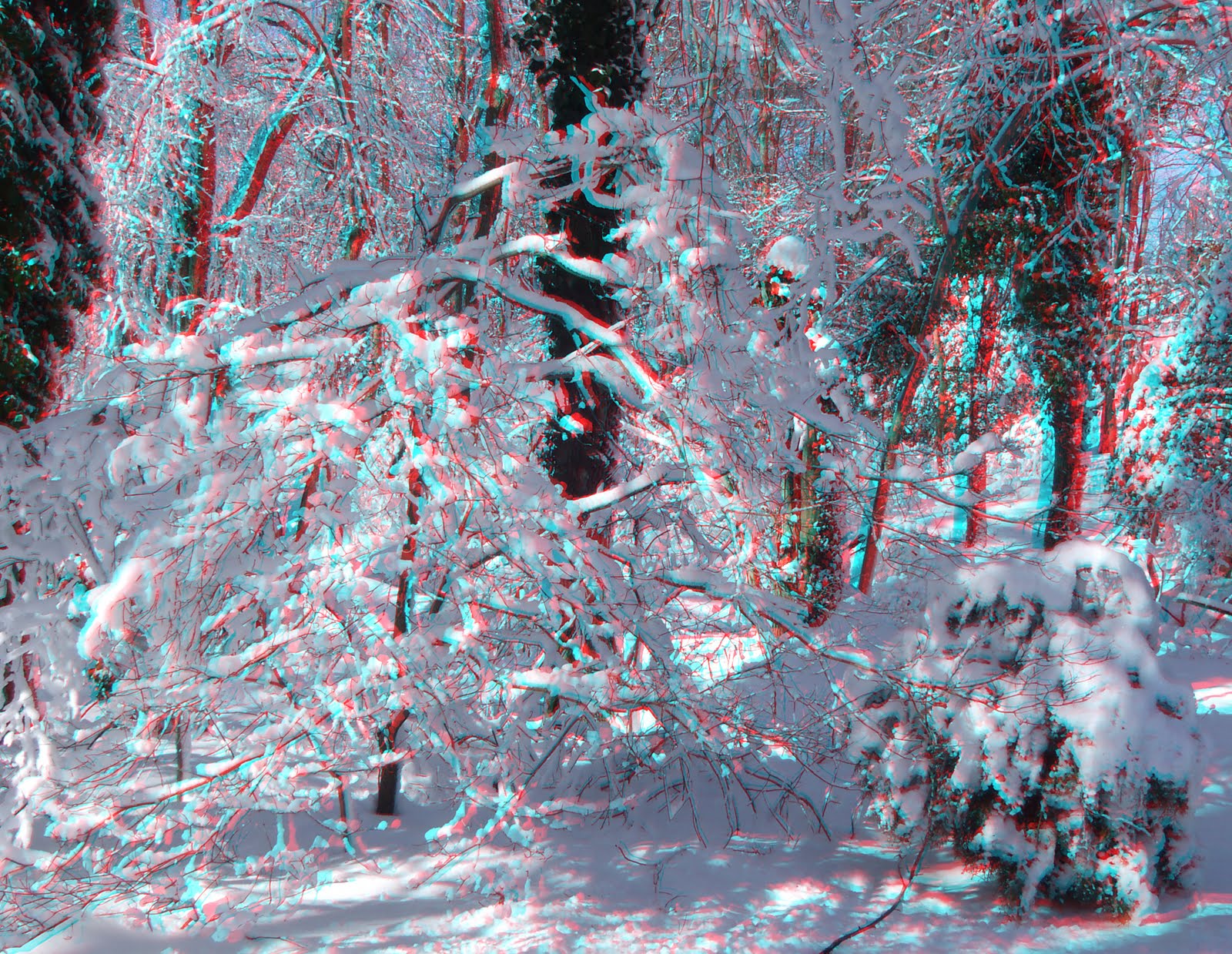 Shooting and Viewing 3D: The Snow 3D Anaglyph Pictures!