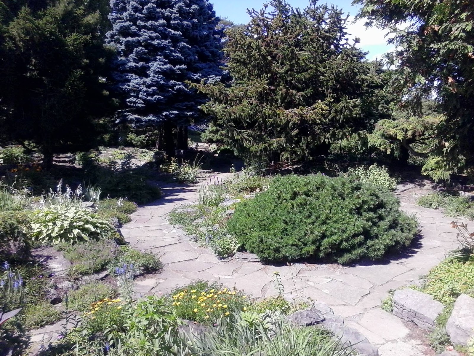 Ottawa Daily Photo: Ornamental Garden