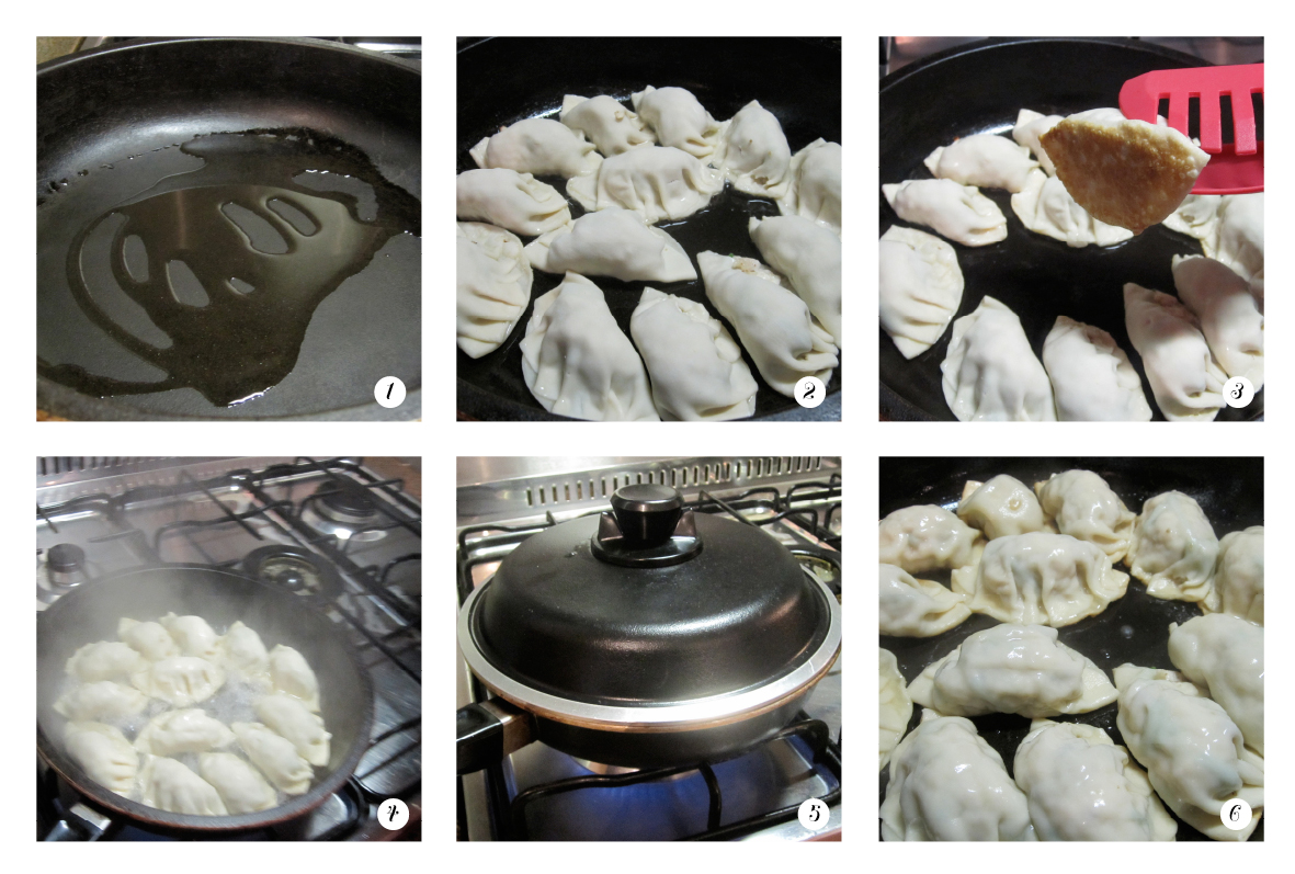 Pomegranate: DIY Japanese dumplings