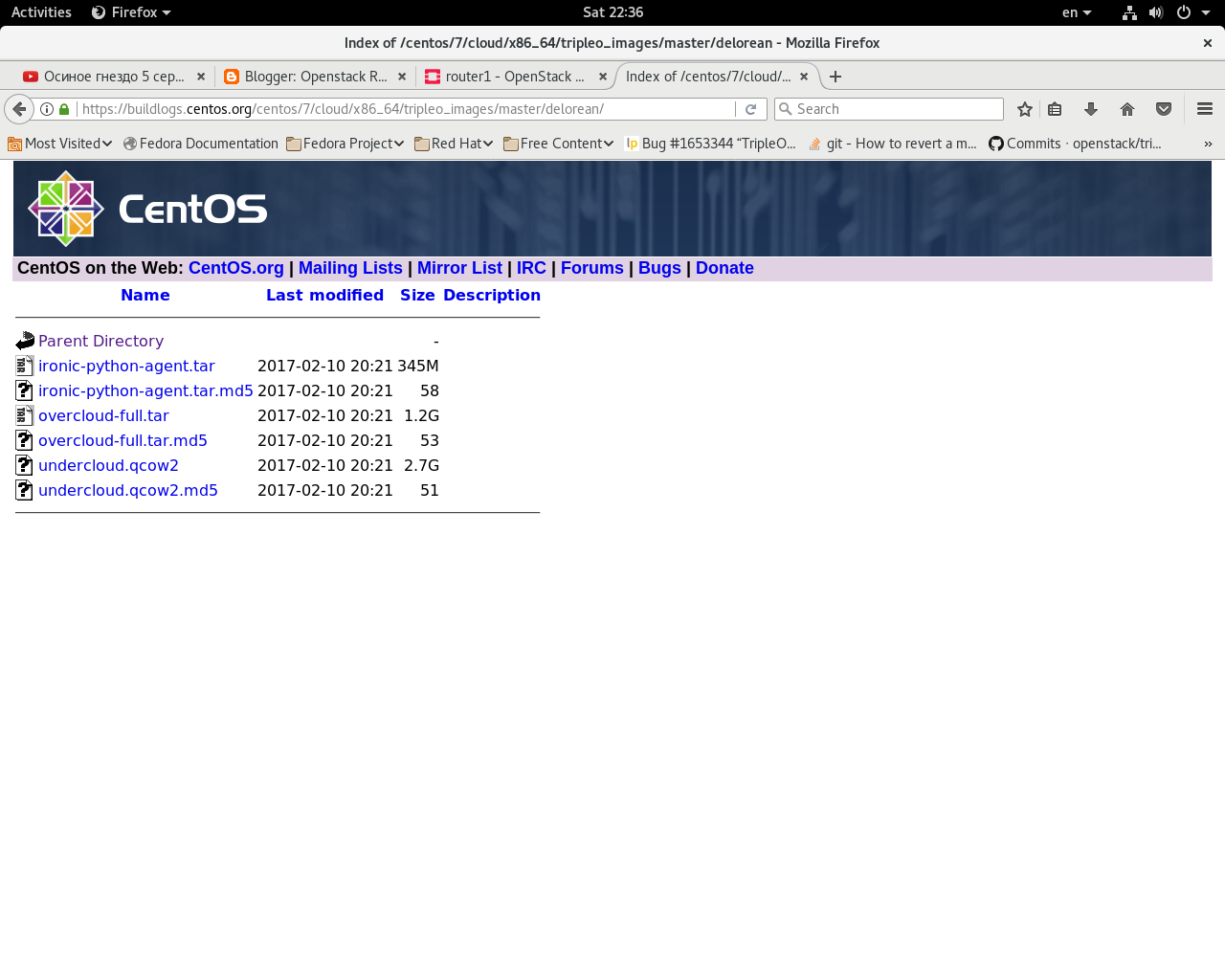 Openstack Rdo Andand Kvm Hypervisor Tripleo Quickstart Ha Deployment Of Master Branch Andand Python