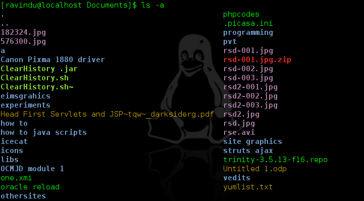 Terminal Commands And Shell Scripting Basic Terminal Navigation Commands