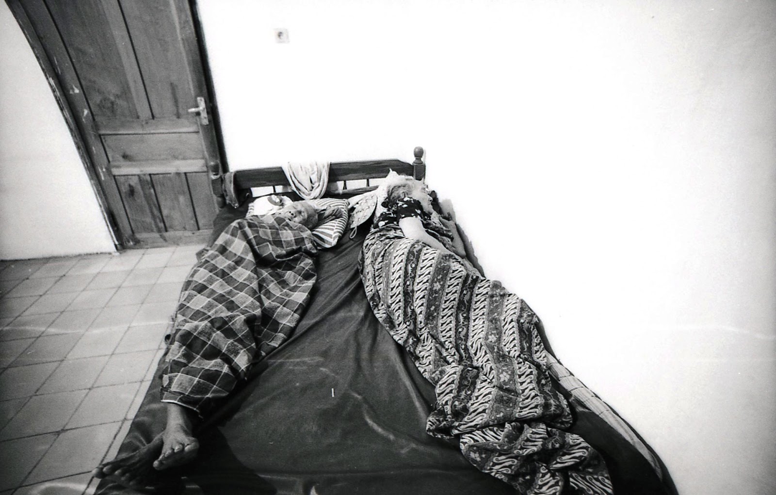 16+ Hewan Laut Mimi Lan Mintuno, Yang Lagi Trend!