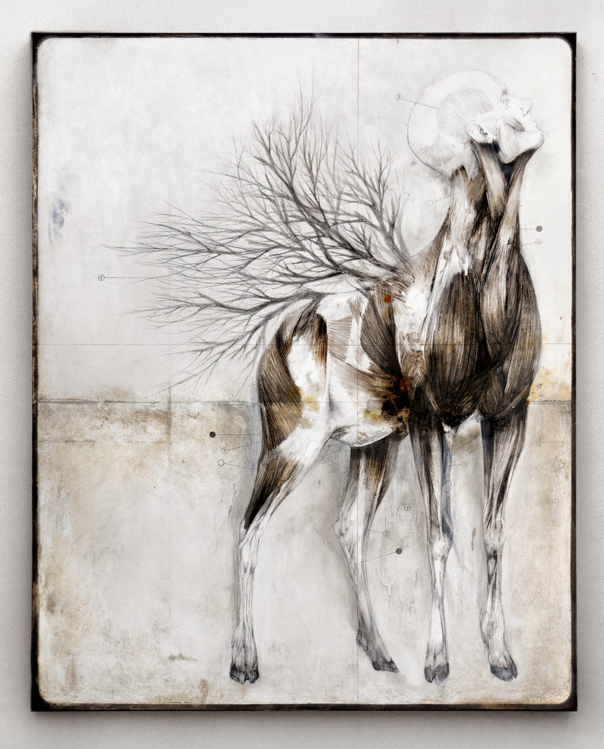 Drawing Post: Artist Of The Day - Nunzio Paci [feedly]