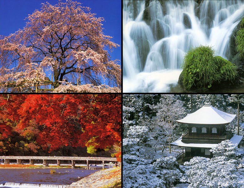 Musim di Jepang - Acidz Shared