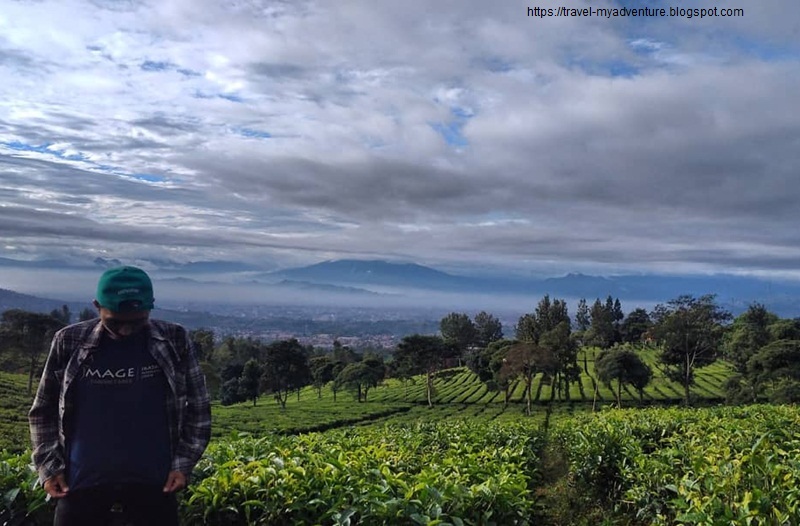 WISATA KEINDAHAN ALAM KEBUN TEH SUKAWANA DIBANDUNG - TRAVEL MY ADVENTURE