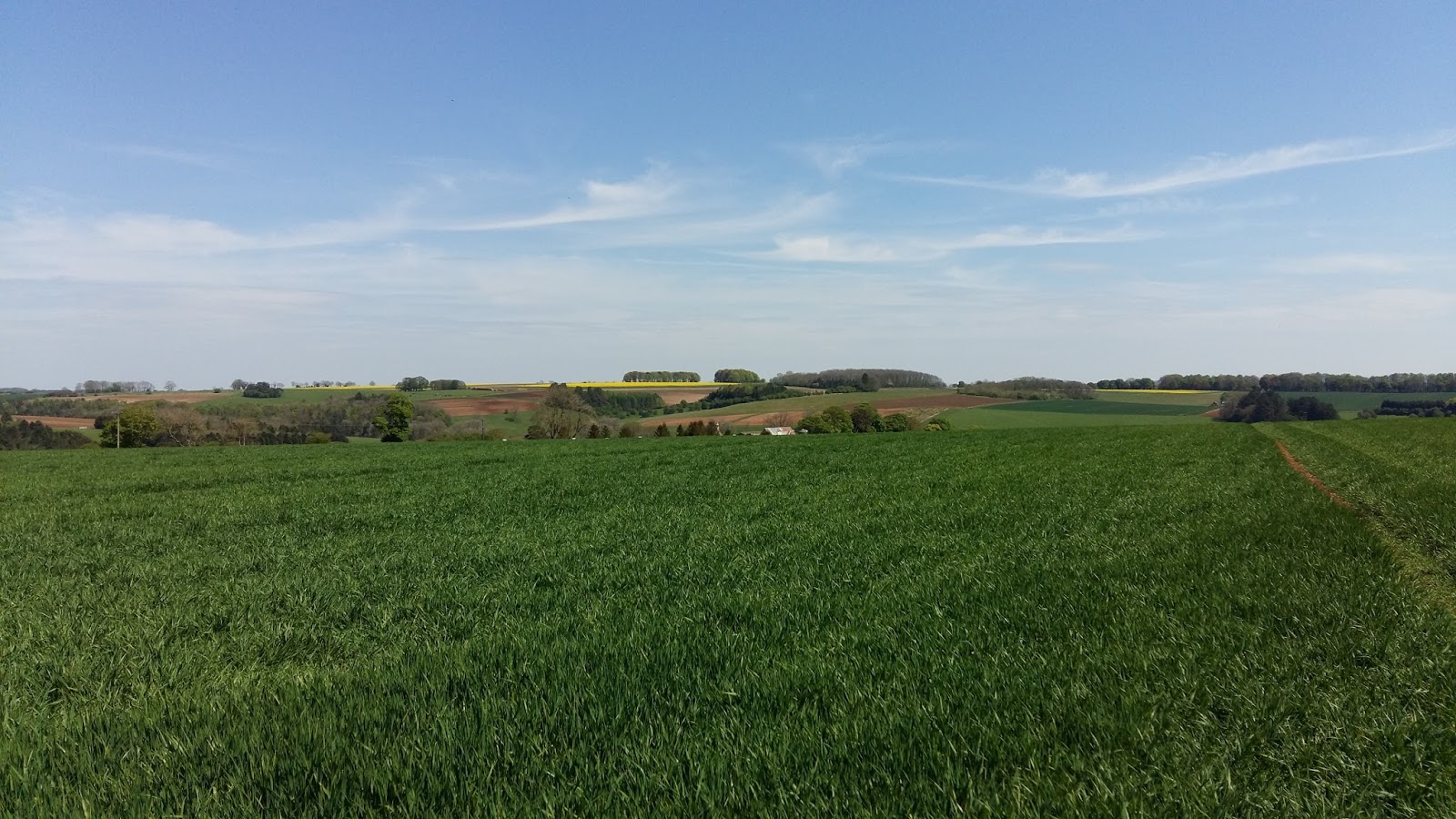 Cotswolds Travel: Idyllic Circular Walk Around Turkdean, Hazelton, and ...