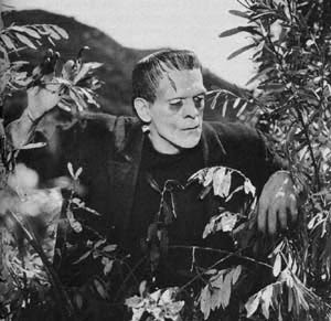 Fascination With Fear: Halloween Festival of Lists: October 12: TWELVE ...