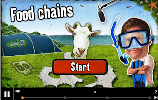 Year 4 Class Helper: BBC food chains