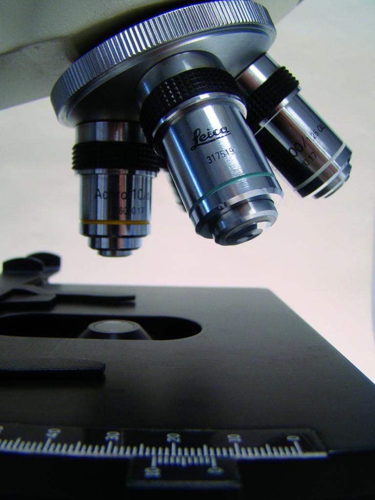 Ut unum sint: junio 2013