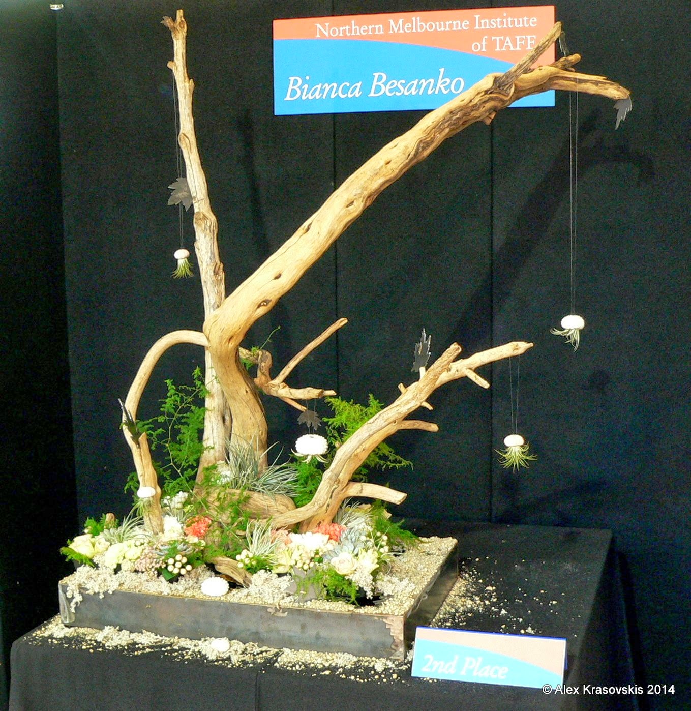 Aggregata Plants & Gardens: Melbourne International Flower & Garden ...